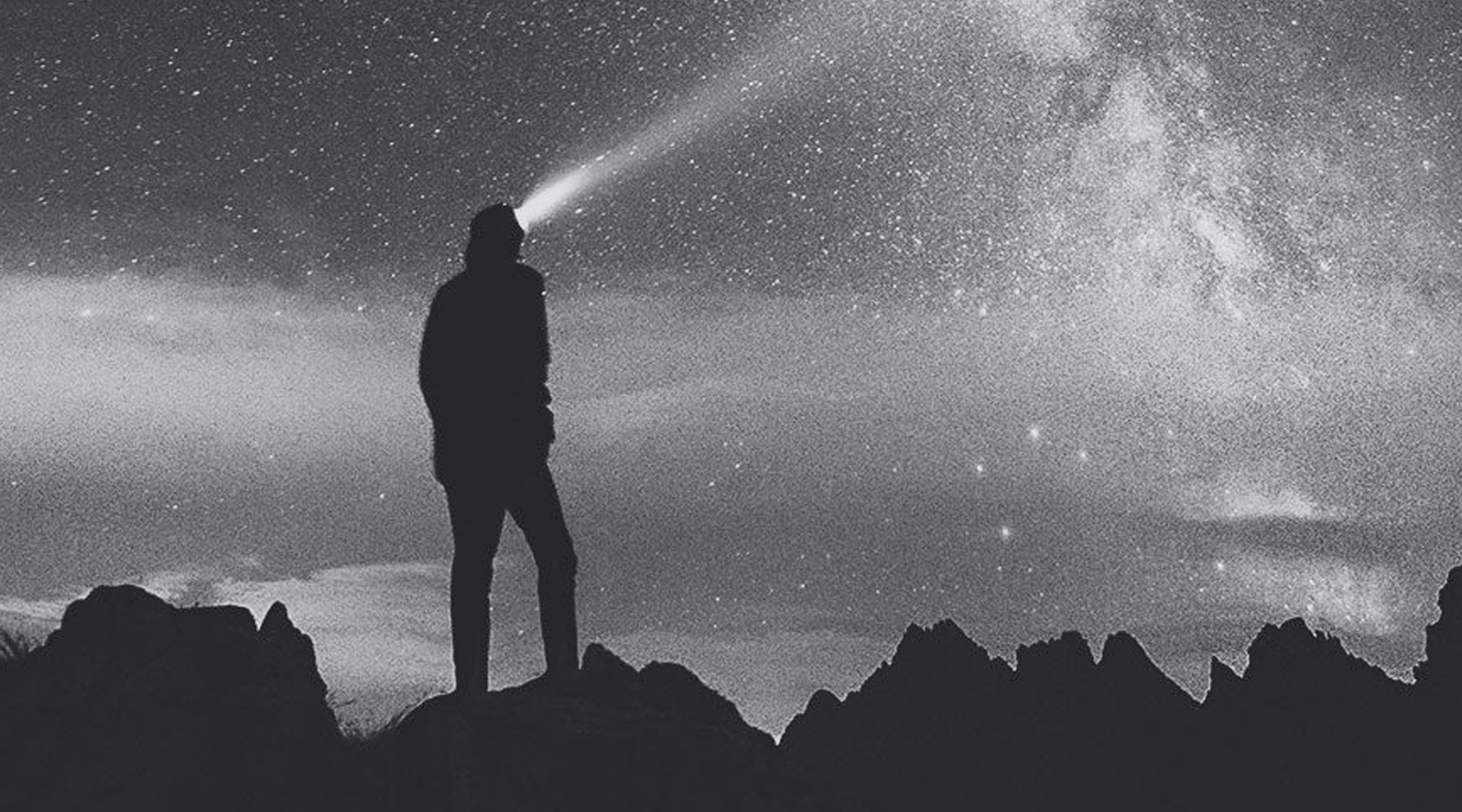 The Numea solution | Camden Advertising